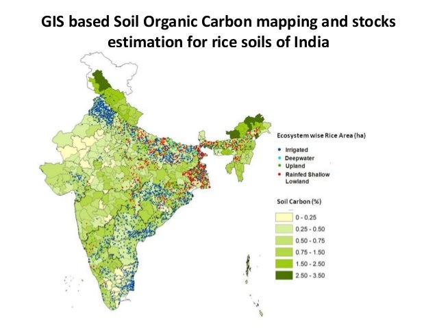 Soil Organic Carbon Mapping and Estimation of Stock in Rice Soils of