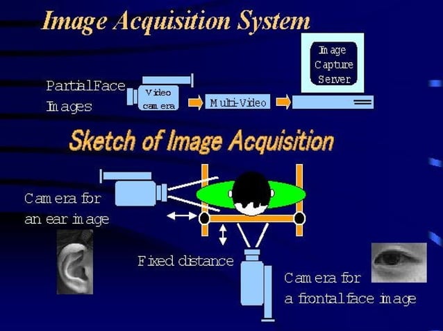 Partial Face Recognition Using Radia Basis Network Ppt