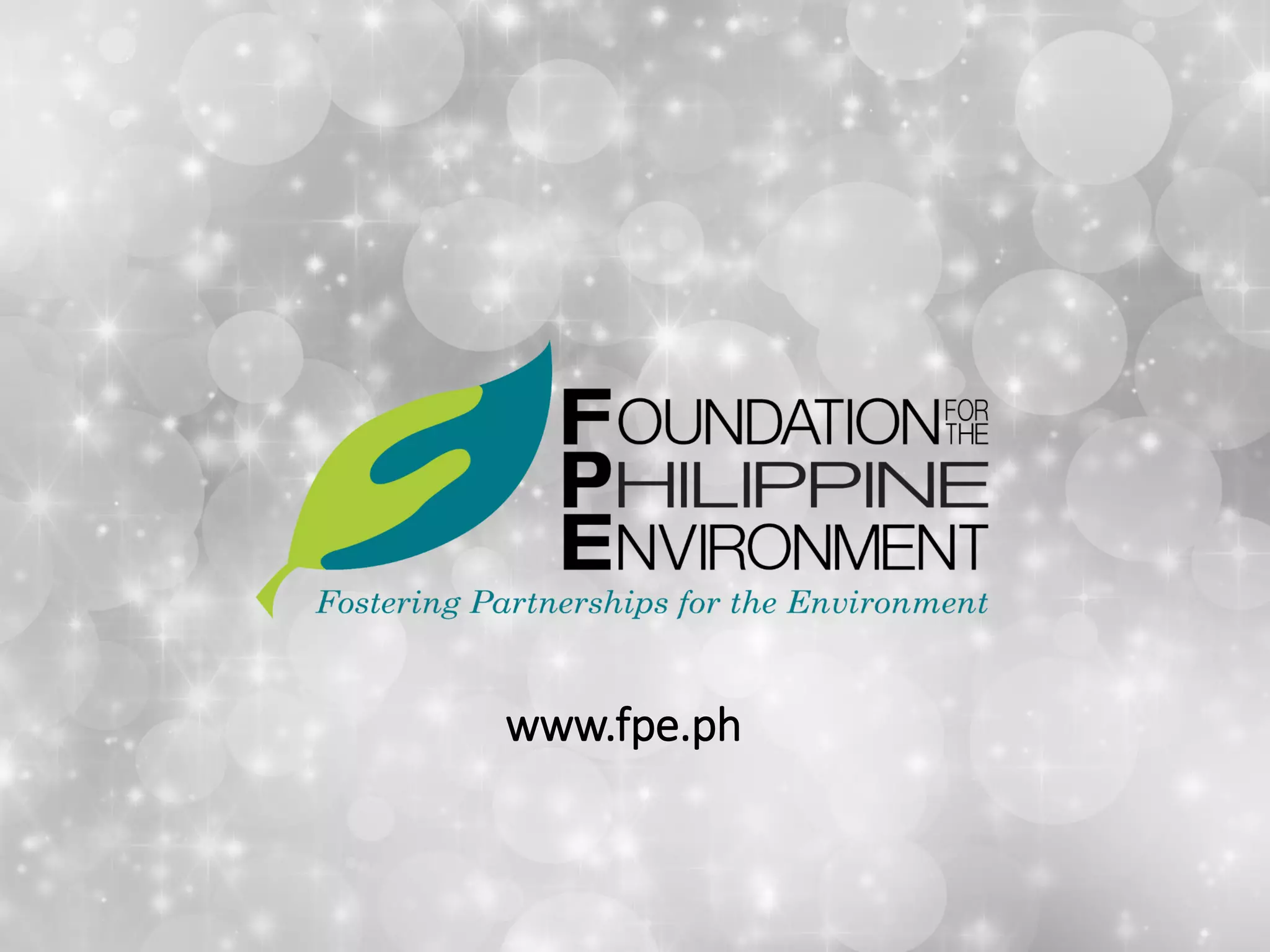 FPE at 25: Recognition of Founding Partners | PDF