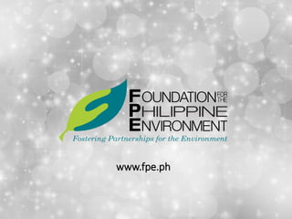FPE at 25: Recognition of Founding Partners | PDF