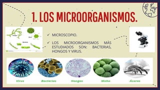 Microorganismos para sexto básico excelente | PPTX