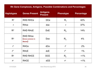 Rhesus Blood Group System | PDF