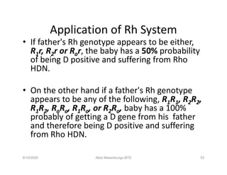 Rhesus Blood Group System | PDF