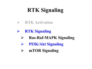 6 RTK signaling MAPK Akt.pdfCell signaling presentation | PDF
