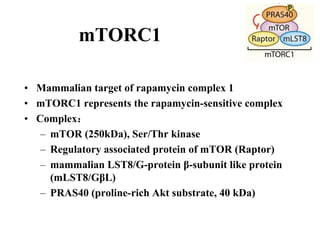 6 RTK signaling MAPK Akt.pdfCell signaling presentation | PDF