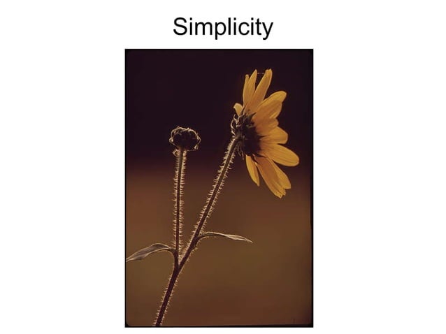 6 rules of composition | PPT