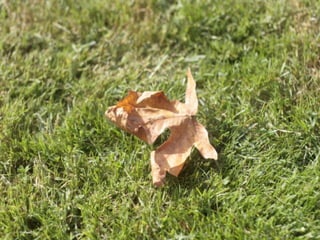 6 rules slideshow | PPTX