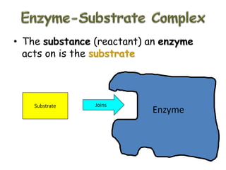 Enzymes | PPTX