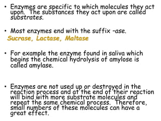 Enzymes | PPTX