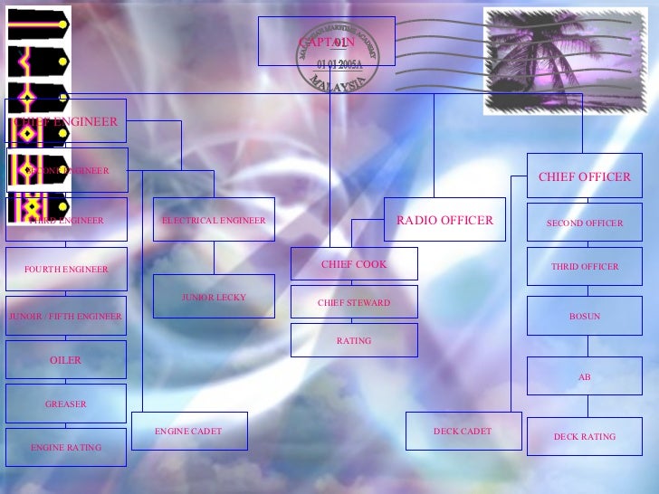 6 ship org chart