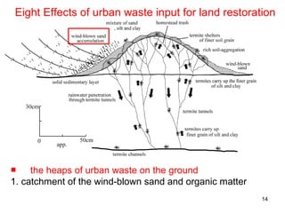 From Soil Erosion to Soil Accumulation: Recycling Urban Organic Waste ...