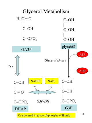 6 shuttles | PPT | Chemistry | Science