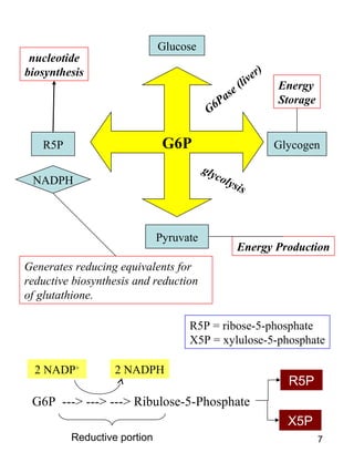 Citrate Pyruvate Shuttle