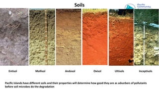 Status of Soil Pollution in South West Pacific | PPT