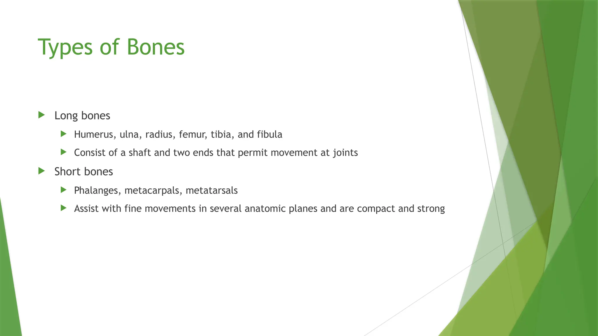 6 Skeletal block A PowerPoint presentation | PPTX