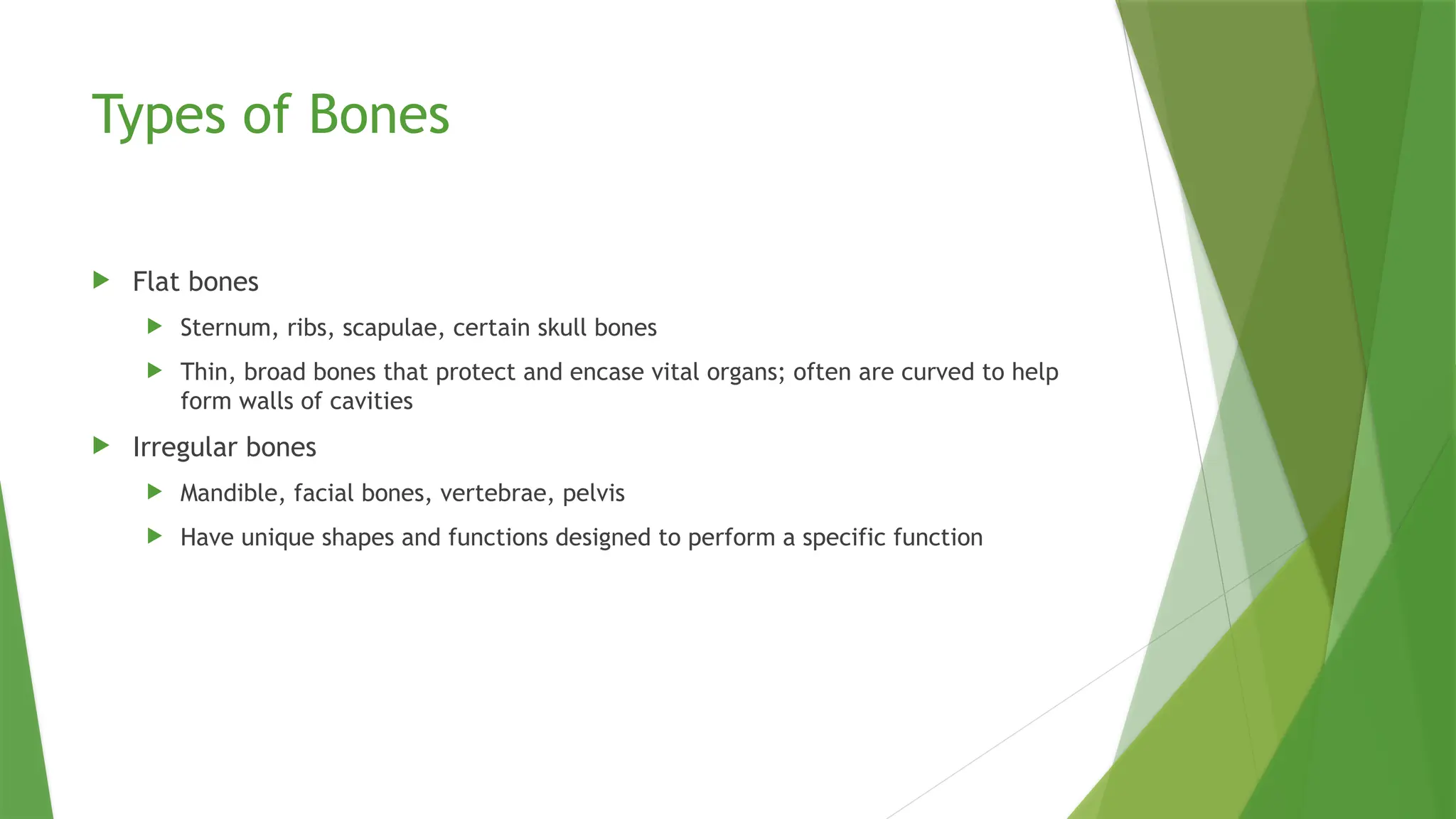 6 Skeletal block A PowerPoint presentation | PPTX