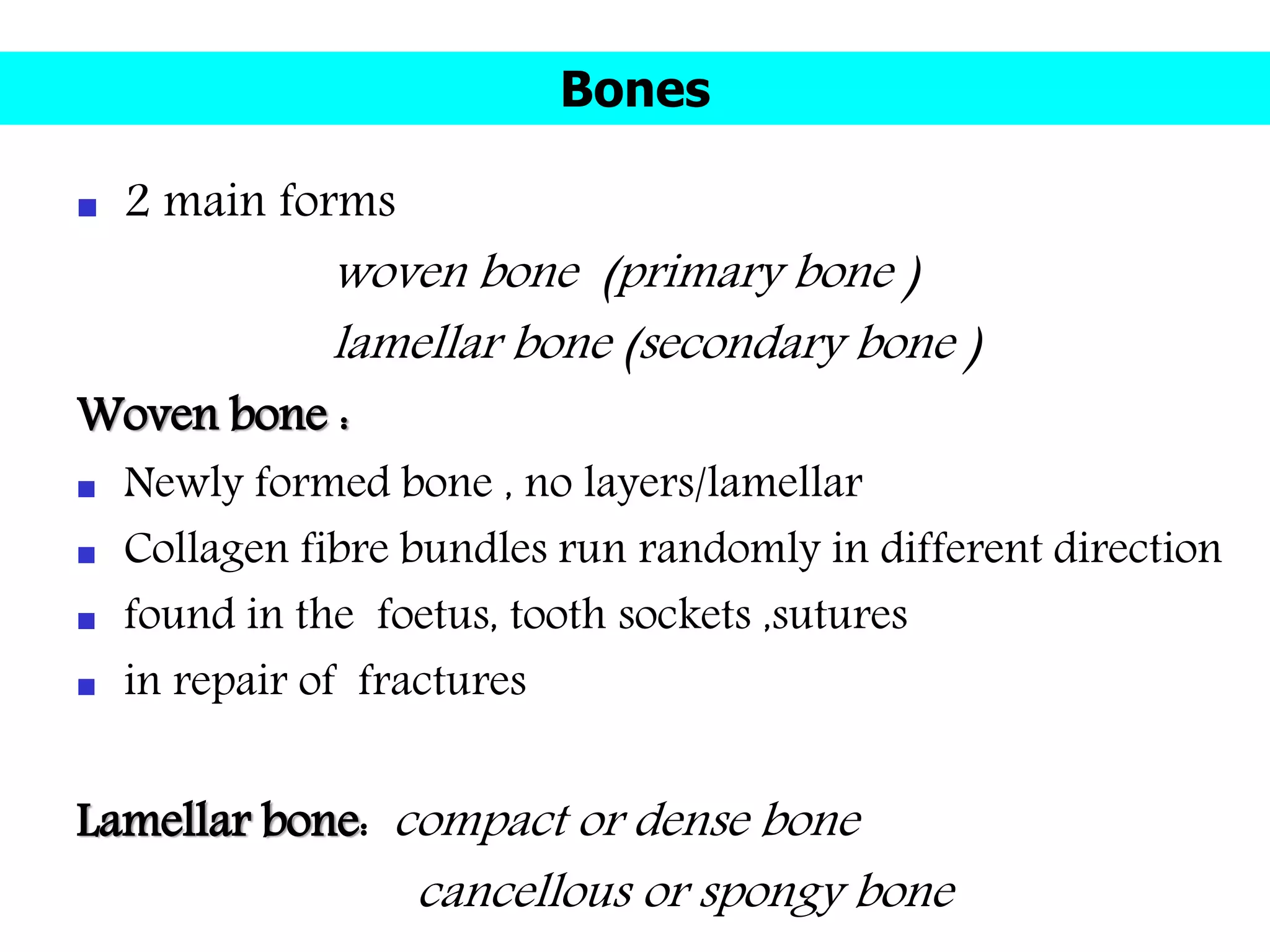 Skeletal tissue.pdf