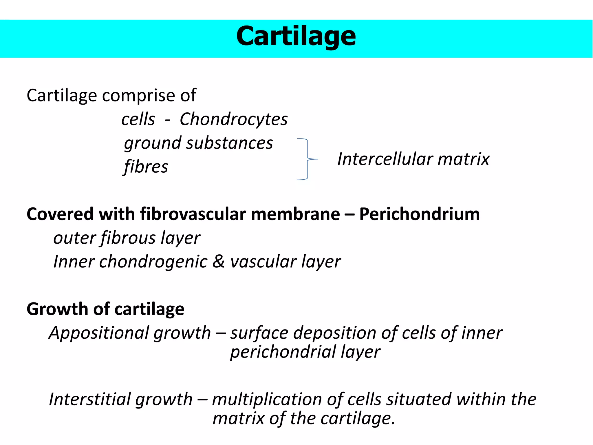 Skeletal tissue.pdf