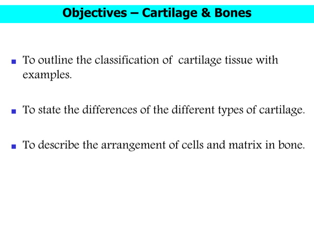 Skeletal tissue.pdf