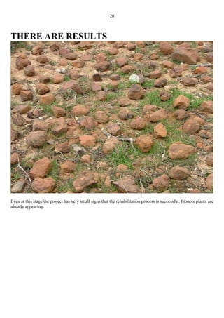 6 Skeppies Monitoring Report Example Of Photo Report | DOC