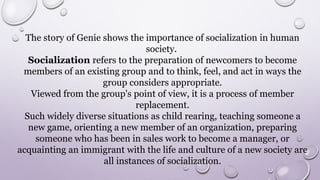 6 socialization bed honors | PPT