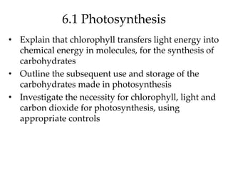 6 syllabus statements | PPTX