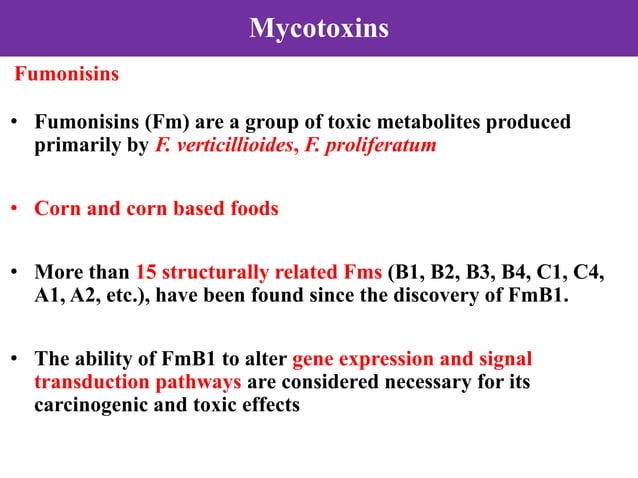 6T. AGM Mycotoxicoses in food.pptx