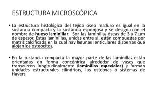 6) TEJIDO ÓSEO (GENERALIDADES Y FUNCIÓN).pptx