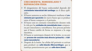 6) TEJIDO ÓSEO (GENERALIDADES Y FUNCIÓN).pptx