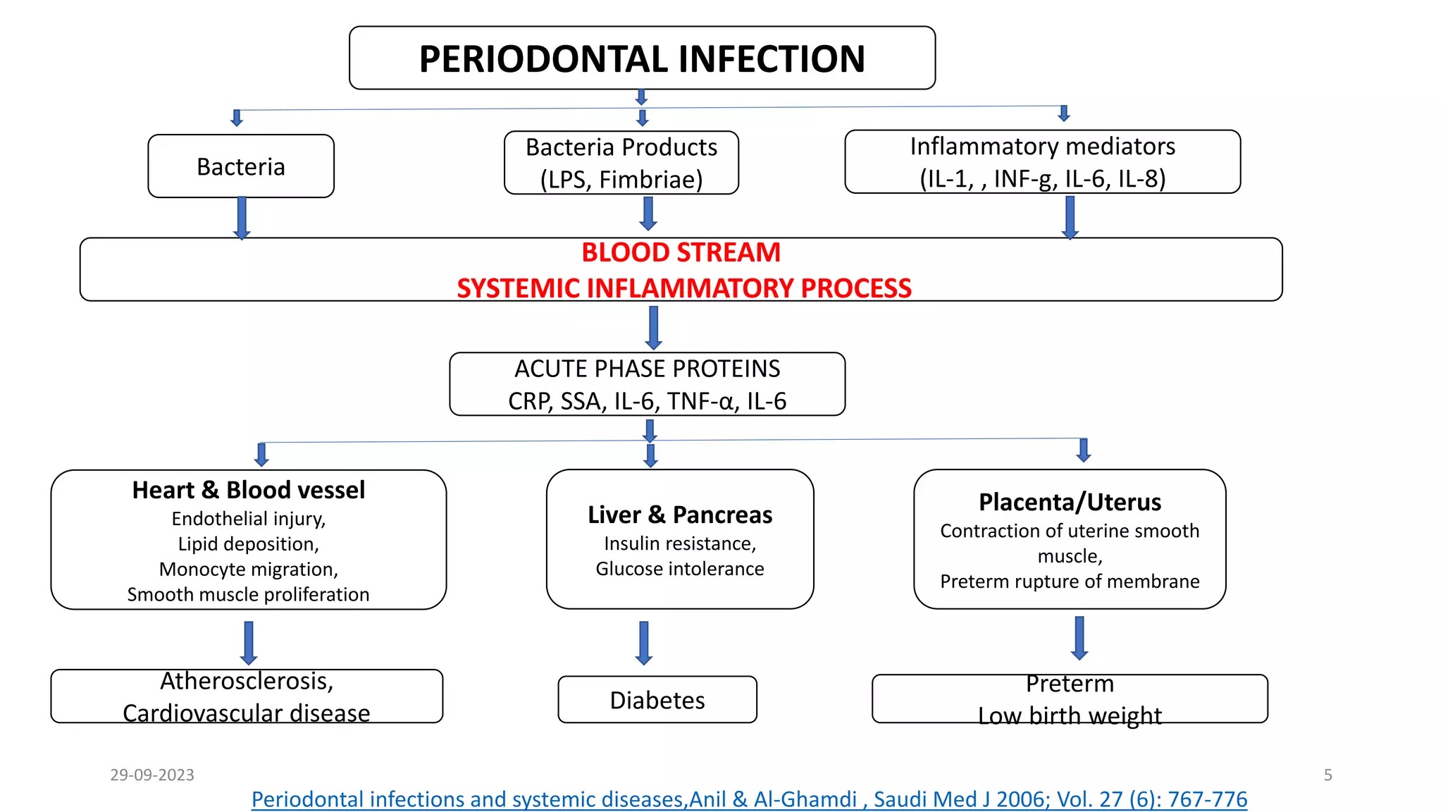 Impact of Periodontal Infection on Systemic Health - Copy.pptx
