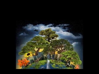 6th - Block 5 - Energy Flow | PPTX | Nutrition | Healthy Living