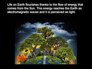 6th - Block 5 - Energy Flow | PPTX