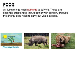 6th - Block 5 - Living Things Are Sources Of Nutrients | PPTX