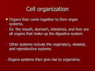 6th Grade Chapter 3 | PPT