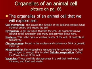 6th Grade Chapter 3 | PPT