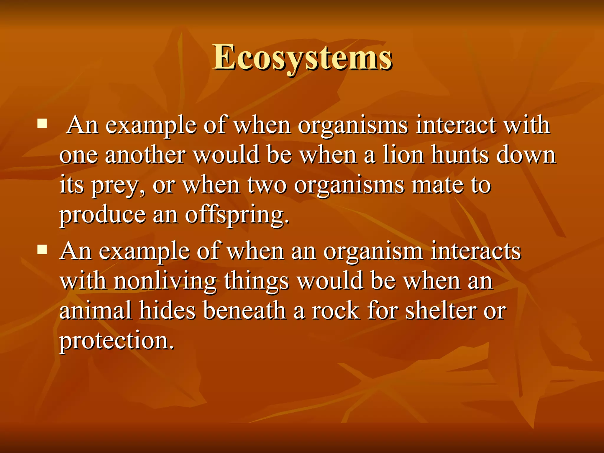 6th Grade Chapter 6 | PPT