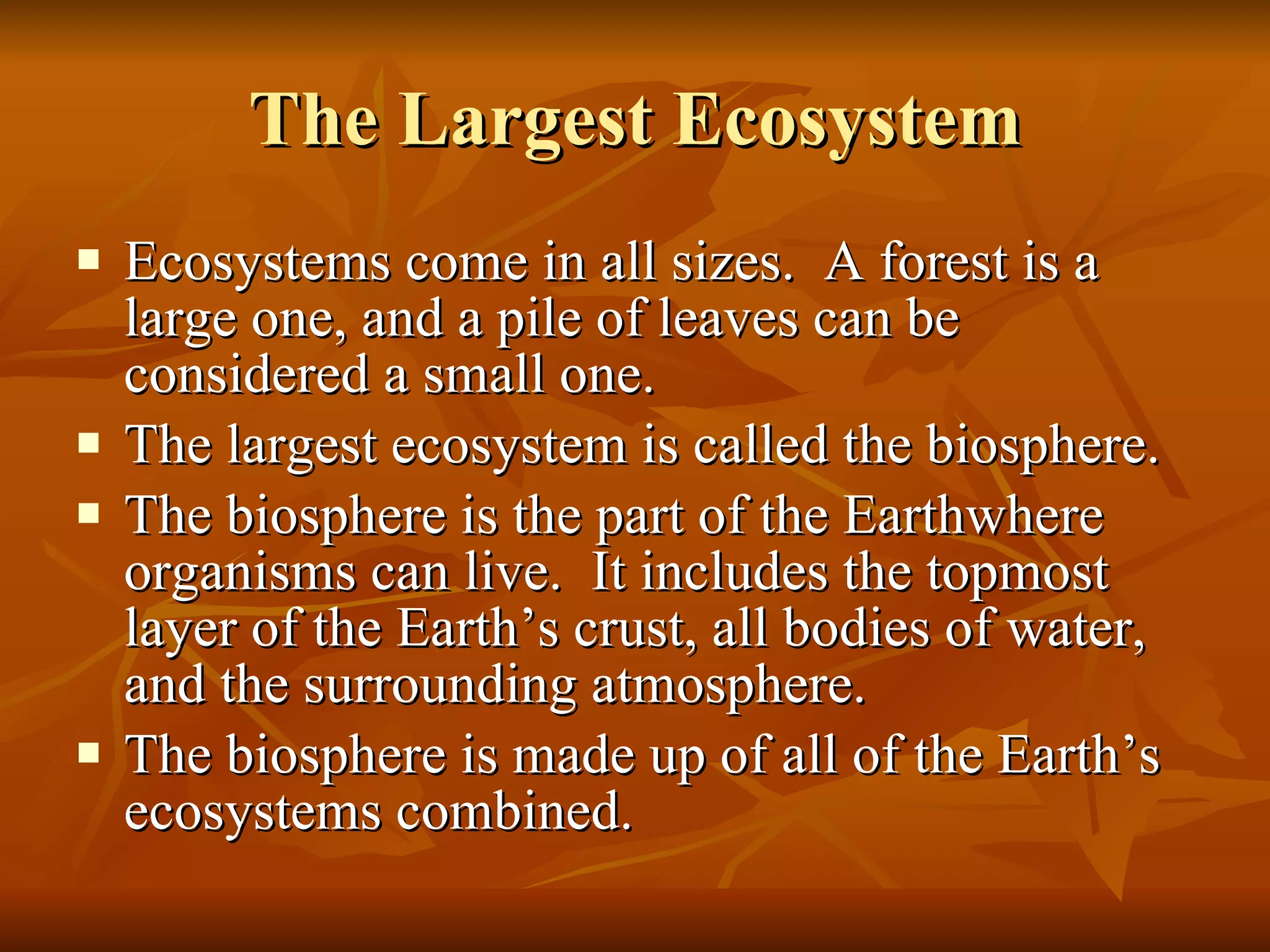 6th Grade Chapter 6 | PPT