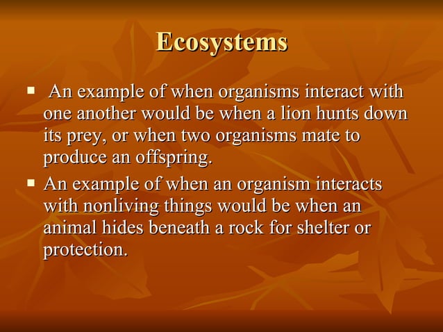 6th Grade Chapter 6 | PPT