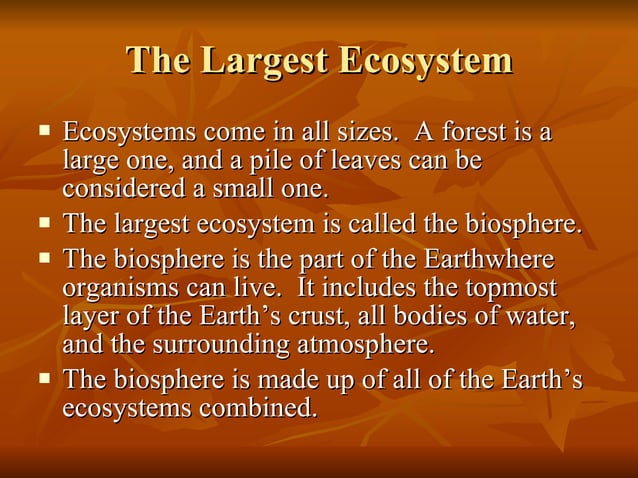 6th Grade Chapter 6 | PPT