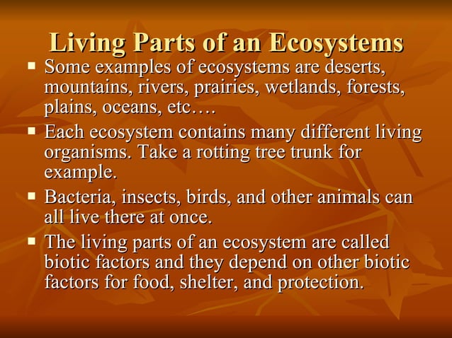 6th Grade Chapter 6 | PPT