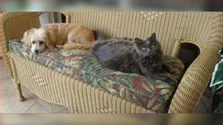 6th - Lesson 10 - Jose Born to Dance | PPT