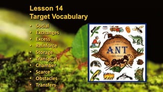 6th - Lesson 14 - The Life and Times of the Ant | PPT