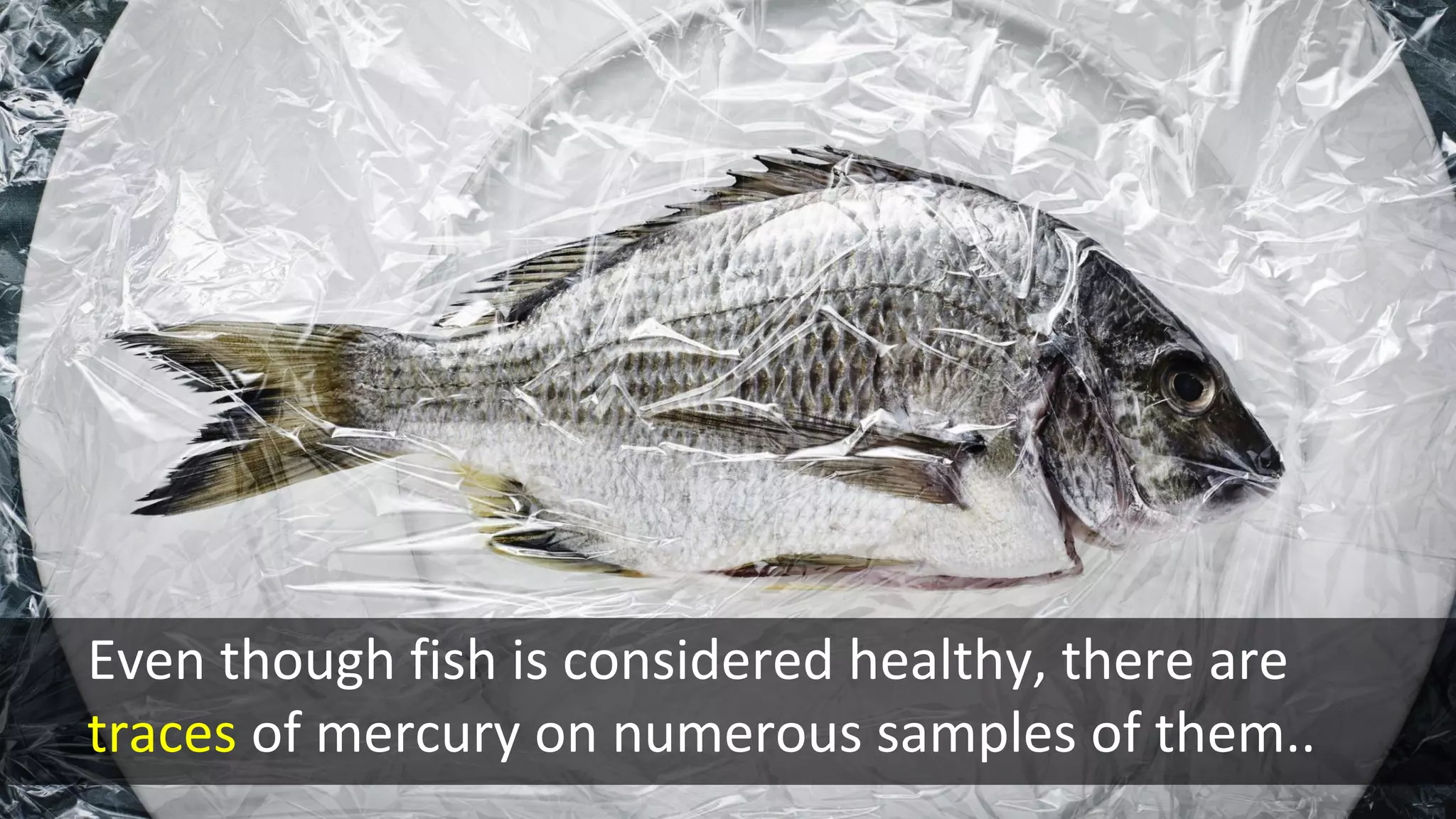 Lesson 15 - Ecology for Kids - 2019 | PPT