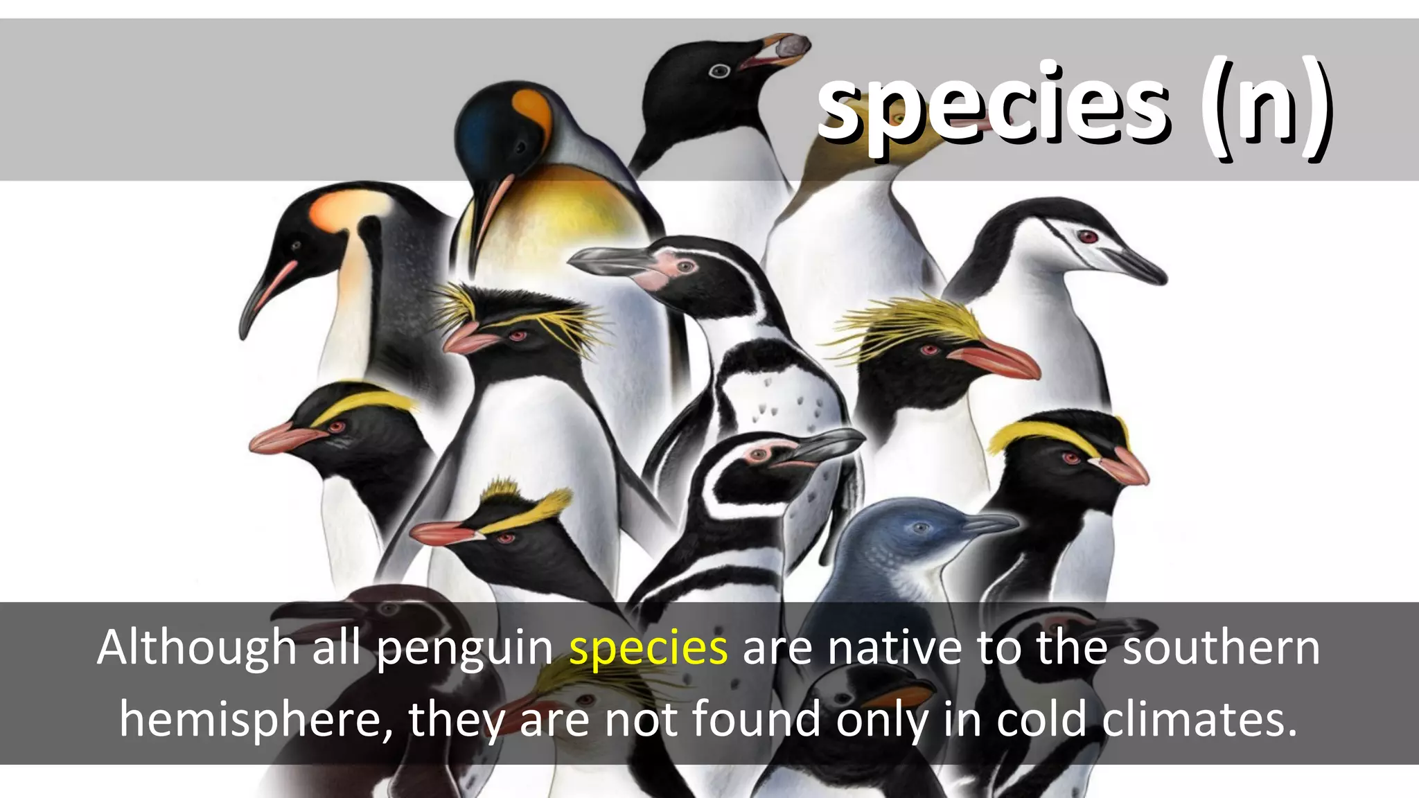 Lesson 15 - Ecology for Kids - 2019 | PPT