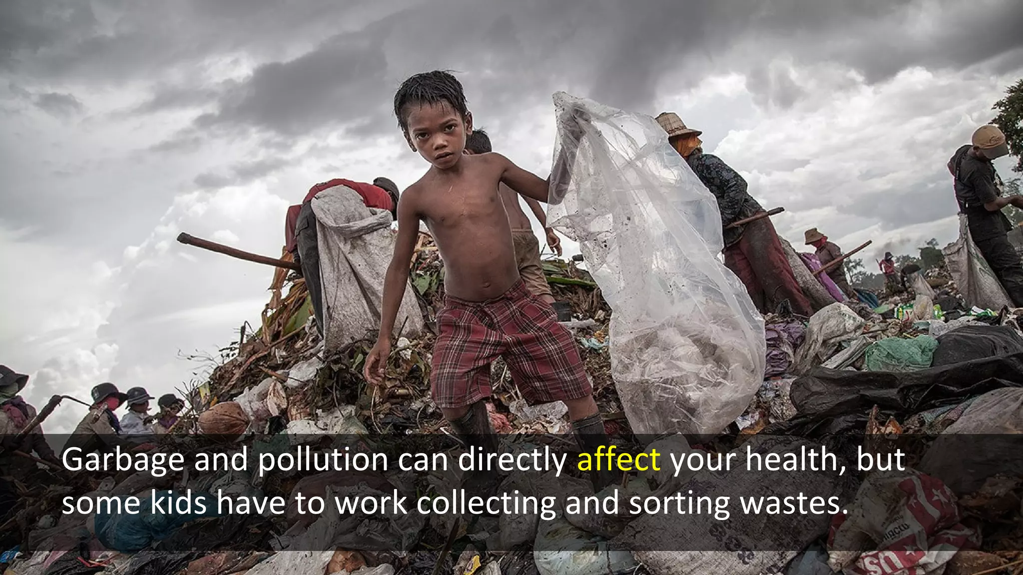 Lesson 15 - Ecology for Kids - 2019 | PPT