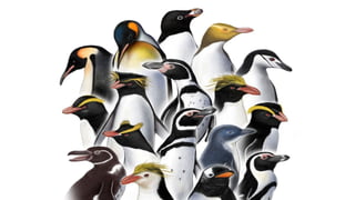 Lesson 15 - Ecology for Kids - 2019 | PPT