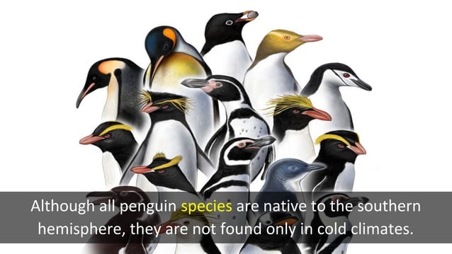 Lesson 15 - Ecology for Kids - 2019 | PPT