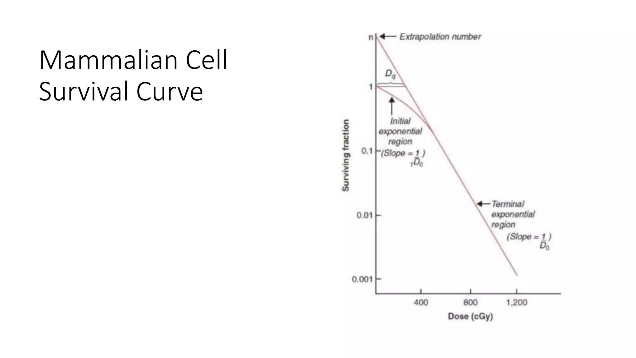 6th radiobiology- cell survival curves | PPTX