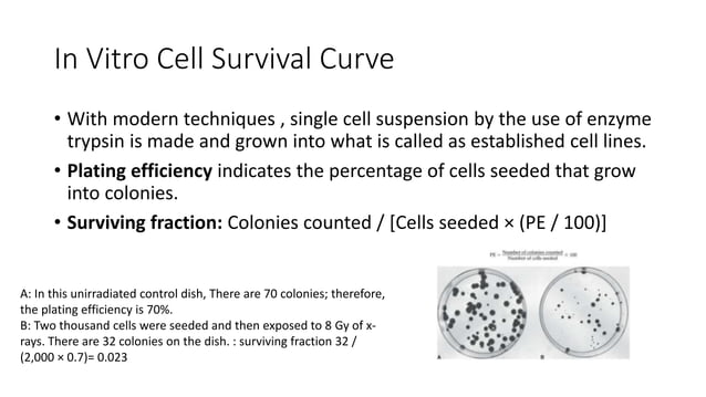 6th radiobiology- cell survival curves | PPTX | Cancer | Diseases and ...
