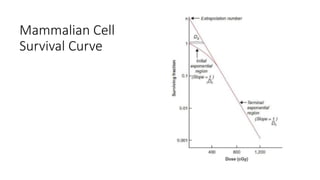 6th radiobiology- cell survival curves | PPTX